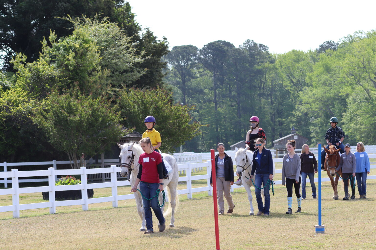 Equine-Assisted Programs for Individuals With Disabilities